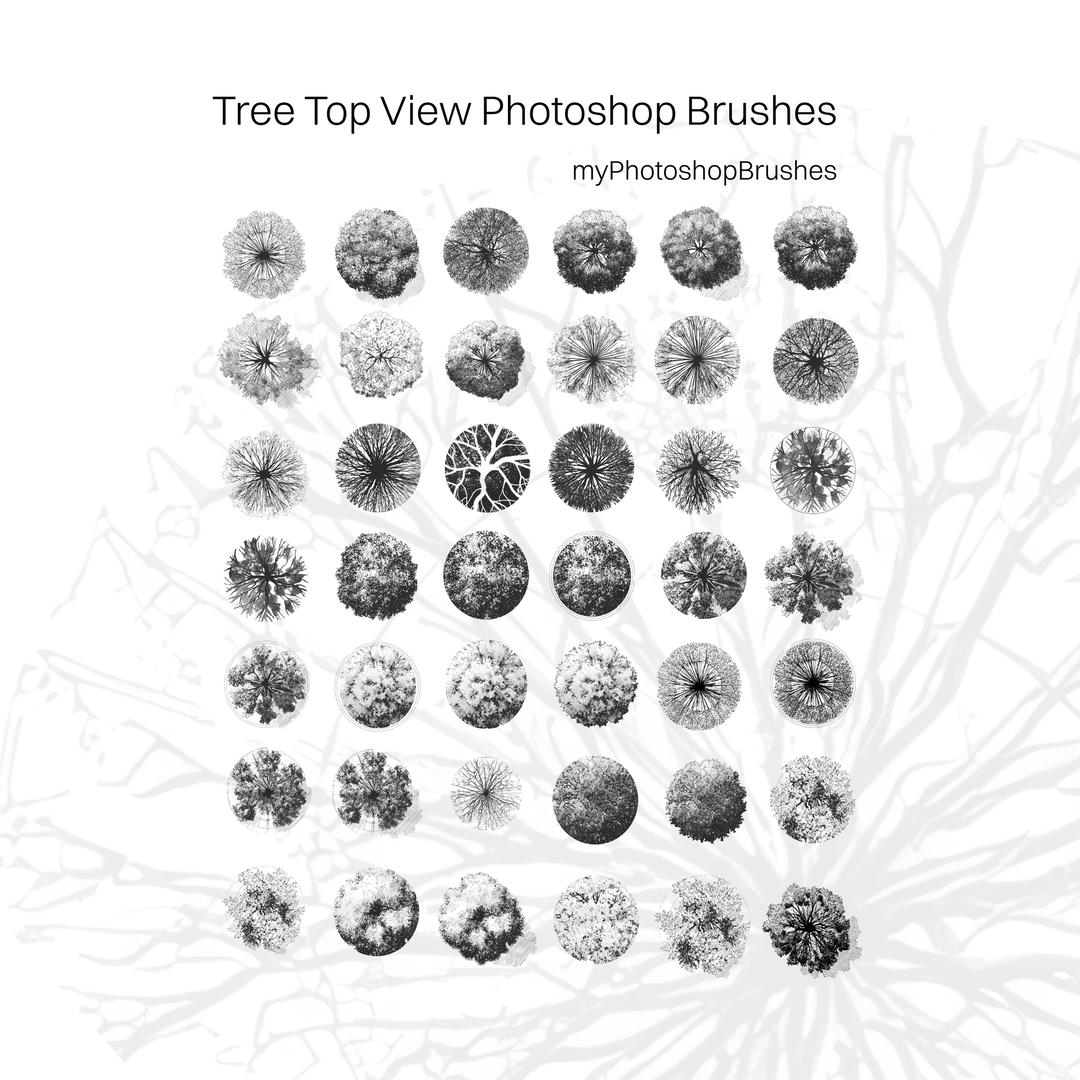 40 Tree Photoshop Brushes - Free ABR Download | MPB