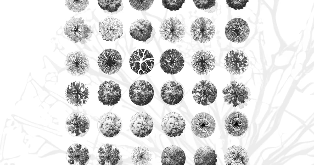 Tree Top View Photoshop Brushes - Free ABR Download | MPB