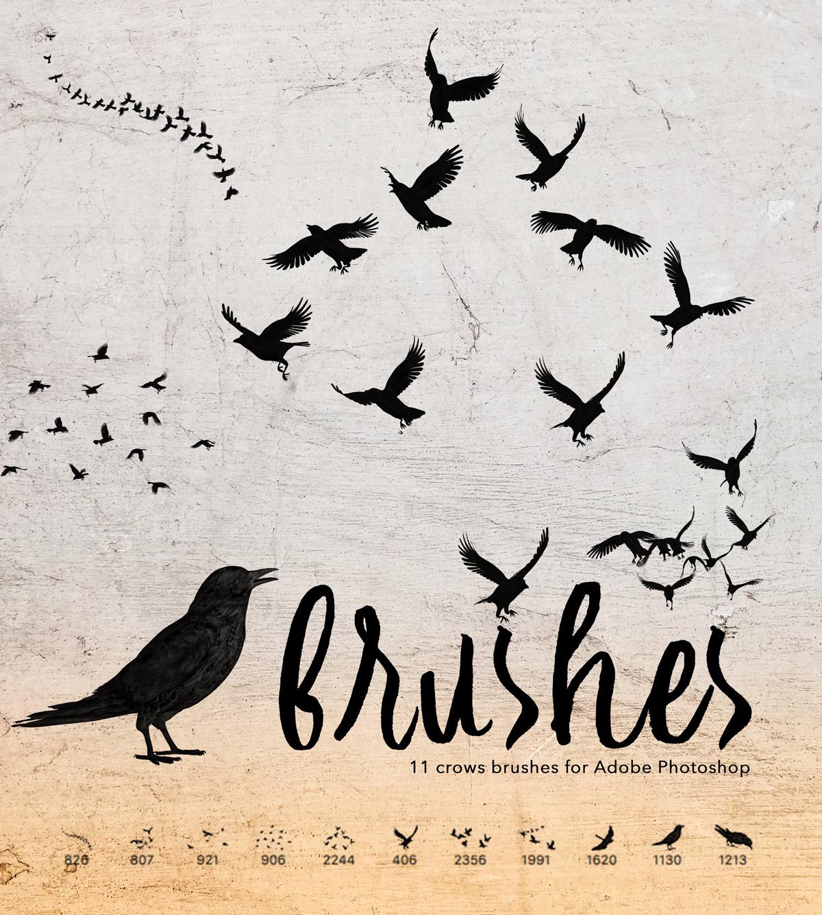 Free Birds Photoshop Resources — Brushes, Textures & More ...