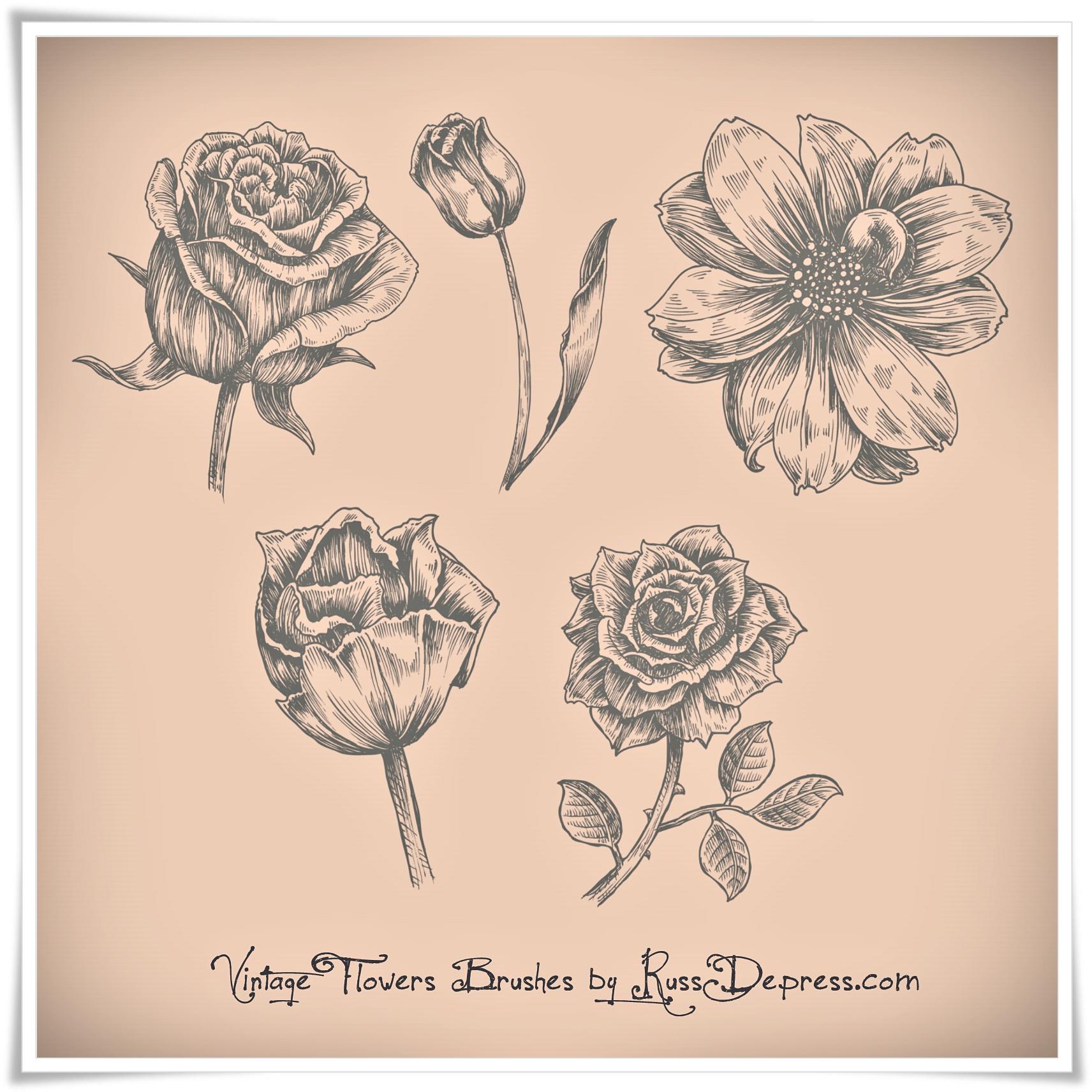 Vintage Flowers High Res Photoshop Brushes - Free ABR Download ...