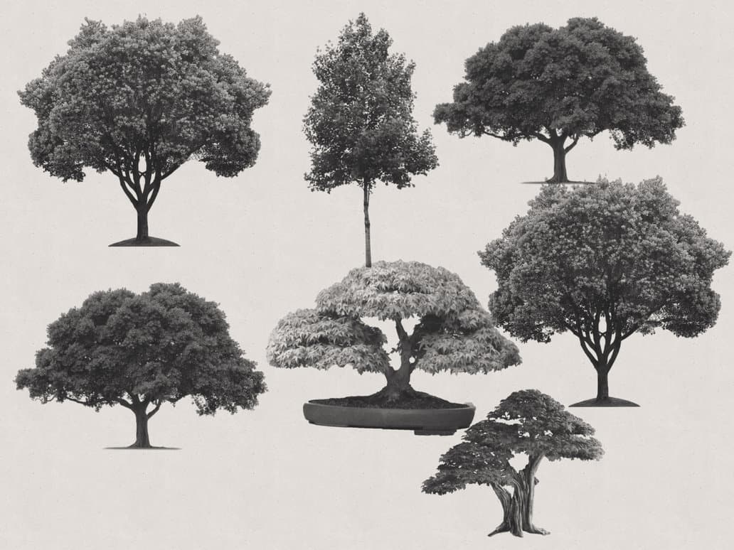 7 Free Trees PS Brushes - Preview 1