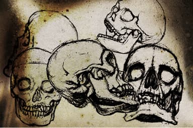 Hand Drawn Skull Brushes - Free ABR Download | MPB