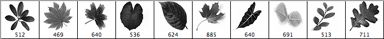 Falling Leaves - Free Brushes Download | MPB