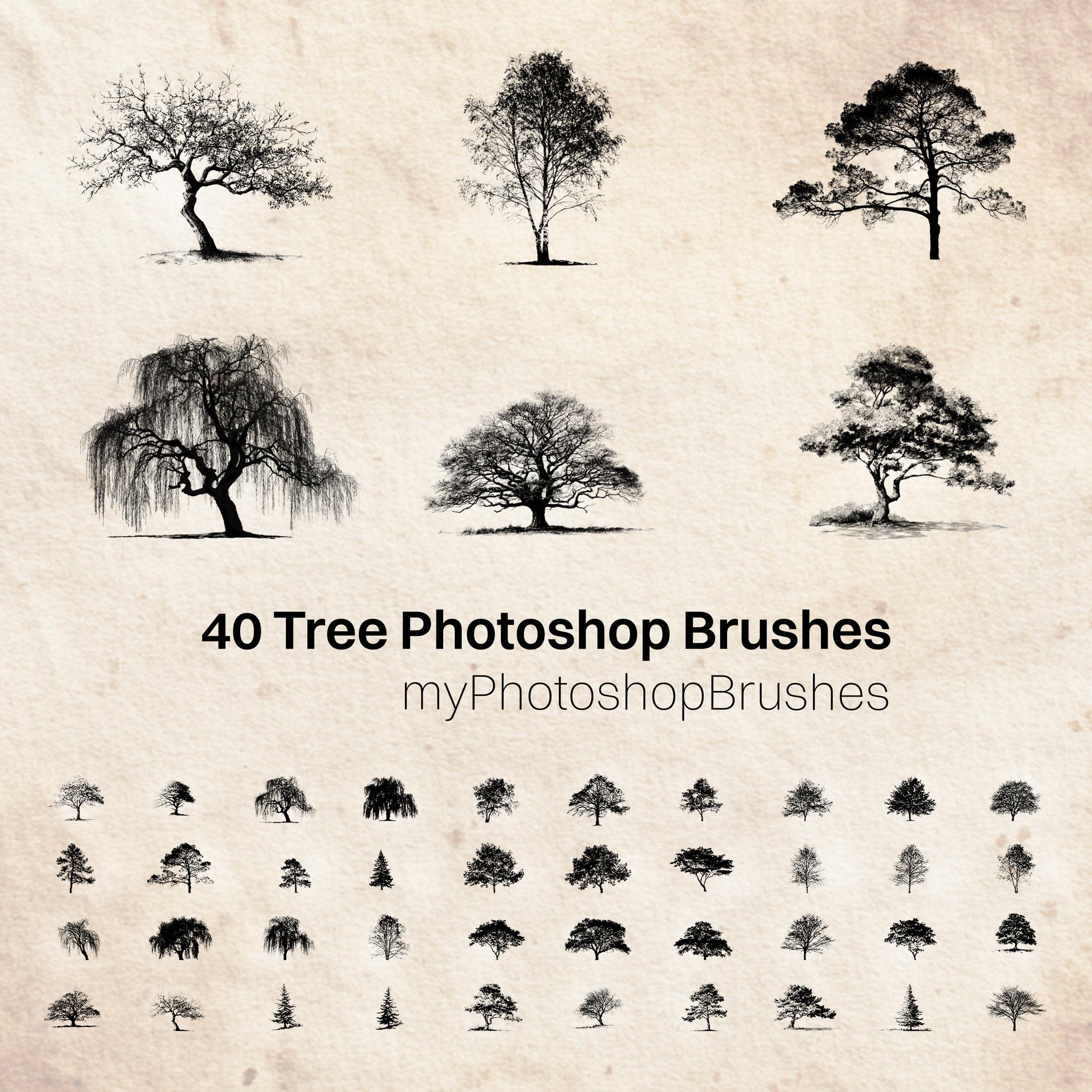 20 Free Tree Brushes - Free ABR Download | MPB