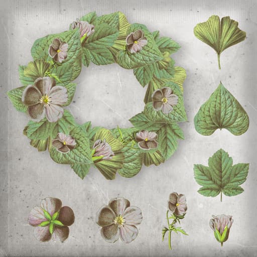 Free Flowers and Leaves PSD - Free Free-psd Download | MPB