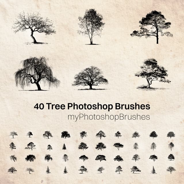 Tree Top View Photoshop Brushes - Free ABR Download | MPB