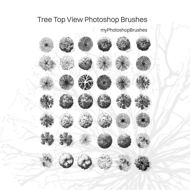 40 Tree Photoshop Brushes - Free ABR Download | MPB