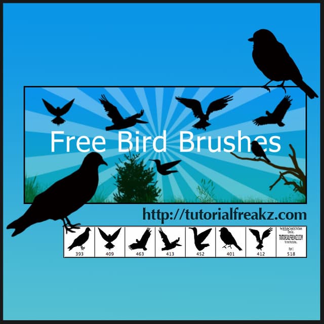Free Birds Photoshop Resources — Brushes, Textures & More ...