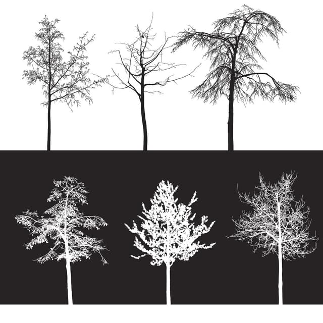 10 Trees Brushes - Free ABR Download | MPB
