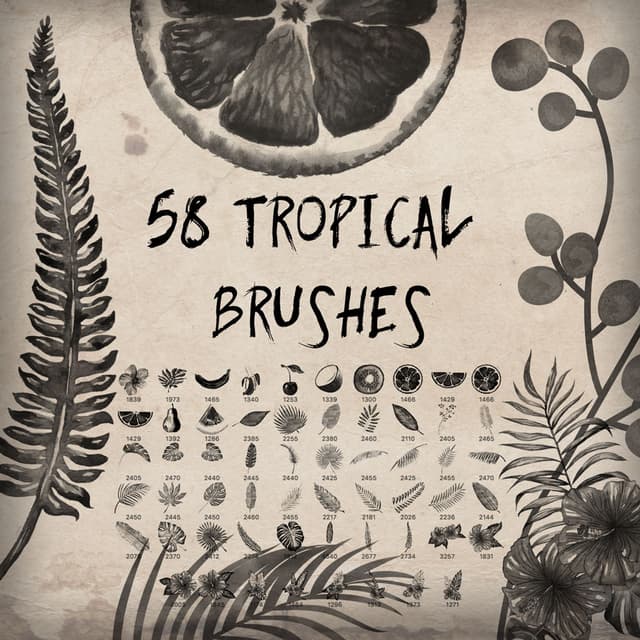 58 Tropical Brushes - Free ABR Download | MPB