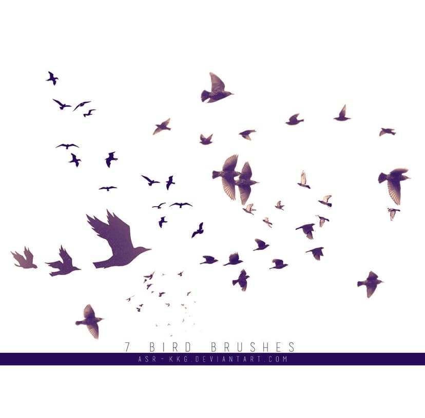 7 Birds PS Brushes - Free ABR Download | MPB