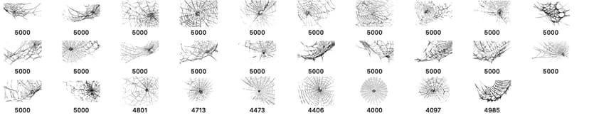 Spider Web Photoshop Brushes - Free ABR Download | MPB