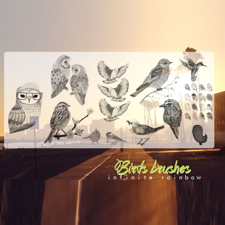 Free Birds Photoshop Resources — Brushes, Textures & More ...