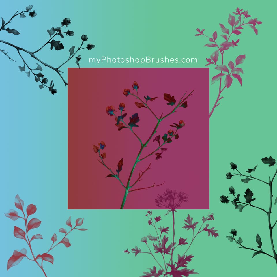 Free Plant Photoshop Resources — Brushes, Textures & More ...